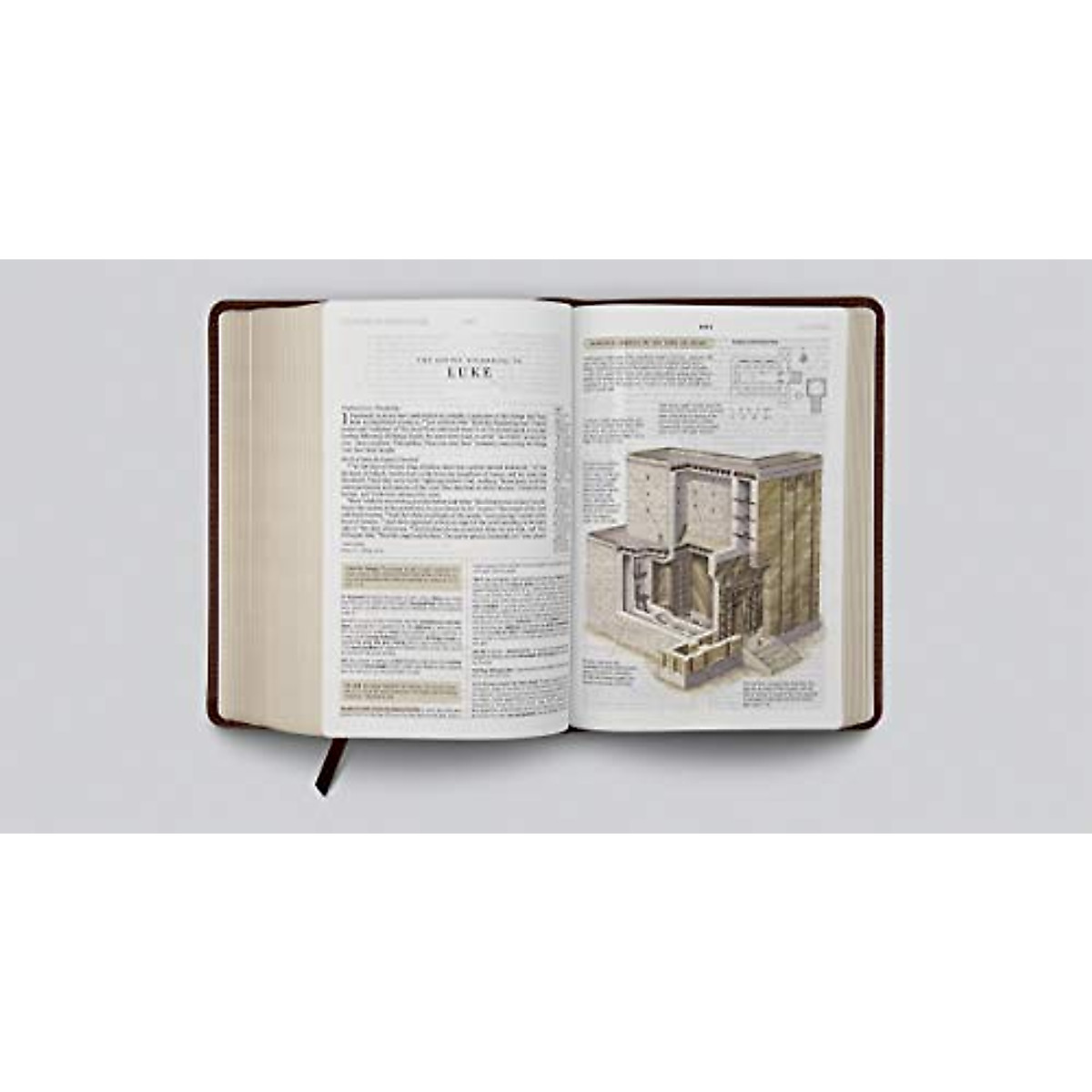 ESV Study Bible, Personal Size (TruTone, Brown)