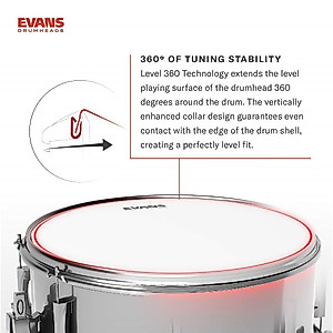 Evans Power Center Reverse Dot Snare Drum Head - 14 Snare Drum Head - Featuring Reverse Dot for Durability, Focus, Attack - Coated with 10mil Ply - 14 Inch