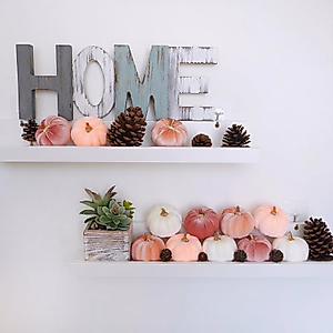 Winlyn 12 Pcs Small Rustic Faux Velvet Pumpkins Decorative Blush Coral Pink Peach Ivory Fabric Pumpkins Foam Pumpkins 3" for Fall Wedding Bbay Shower Thanksgiving Halloween Table Centerpiece Décor