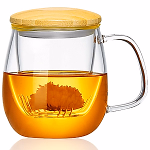 WHJY Glass Tea Cup with Infuser and Lid, 15 ounce Glass Tea Cups with Strainer, Loose Leaf Tea Cup Mug for One, Lead-free Borosilicate Glass Teacups, Heat Resistance, Microwave & Dishwasher Safe