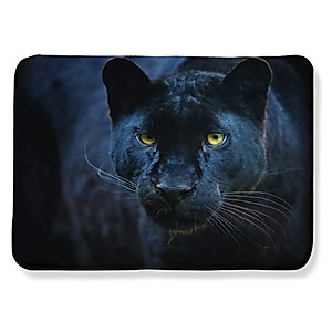 XYHH Area Rug Black Panther for Living Room Dining Room Bedroom playroom Parent-Child Game mat Study Office Room Decor lz White 3 39x60in