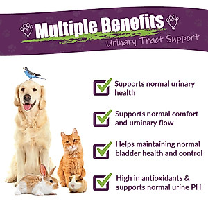 Amber NaturalZ UTR Urinary Tract Herbal Supplement for Dogs, Cats, Birds, Guinea Pigs, and Rabbits | Pet Herbal Supplement for Bladder Support | 1 Fluid Ounce Glass Bottle | Manufactured in The USA