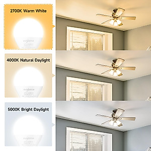 SHINESTAR 3-Pack Small Base Ceiling Fan Light Bulbs, 120v 40w Equivalent, E12 LED Bulb, 2700K Warm White, Non-Dimmable