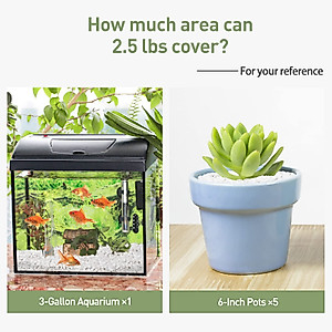 GASPRO 2.5lbs Aquarium Gravel and 5 Pound White Pebbles, White Rocks for Plants, Vases, Natural Decorative Pebbles for Succulents, Terrarium, Cactus