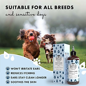 Belly Dog Ear Cleaner - Natural Ear Cleaner for Dogs: for Waxy Ear Canals. Ear Wash for Dogs for Dog Itchy Ears - Dog Ear Wipes Alternative, 8.5 Fl Oz