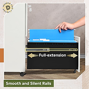 DEVAISE 2-Drawer Mobile File Cabinet with Lock, Commercial Vertical Cabinet in White