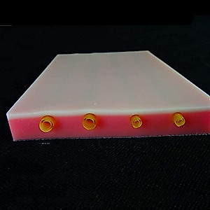 Anatomy Model Skeleton Model Silicone Human Skin Suture Training Model - IV Injection Practice Arm Model - IV Injection Pad - Veins Imbedded, for Medical Educational Training