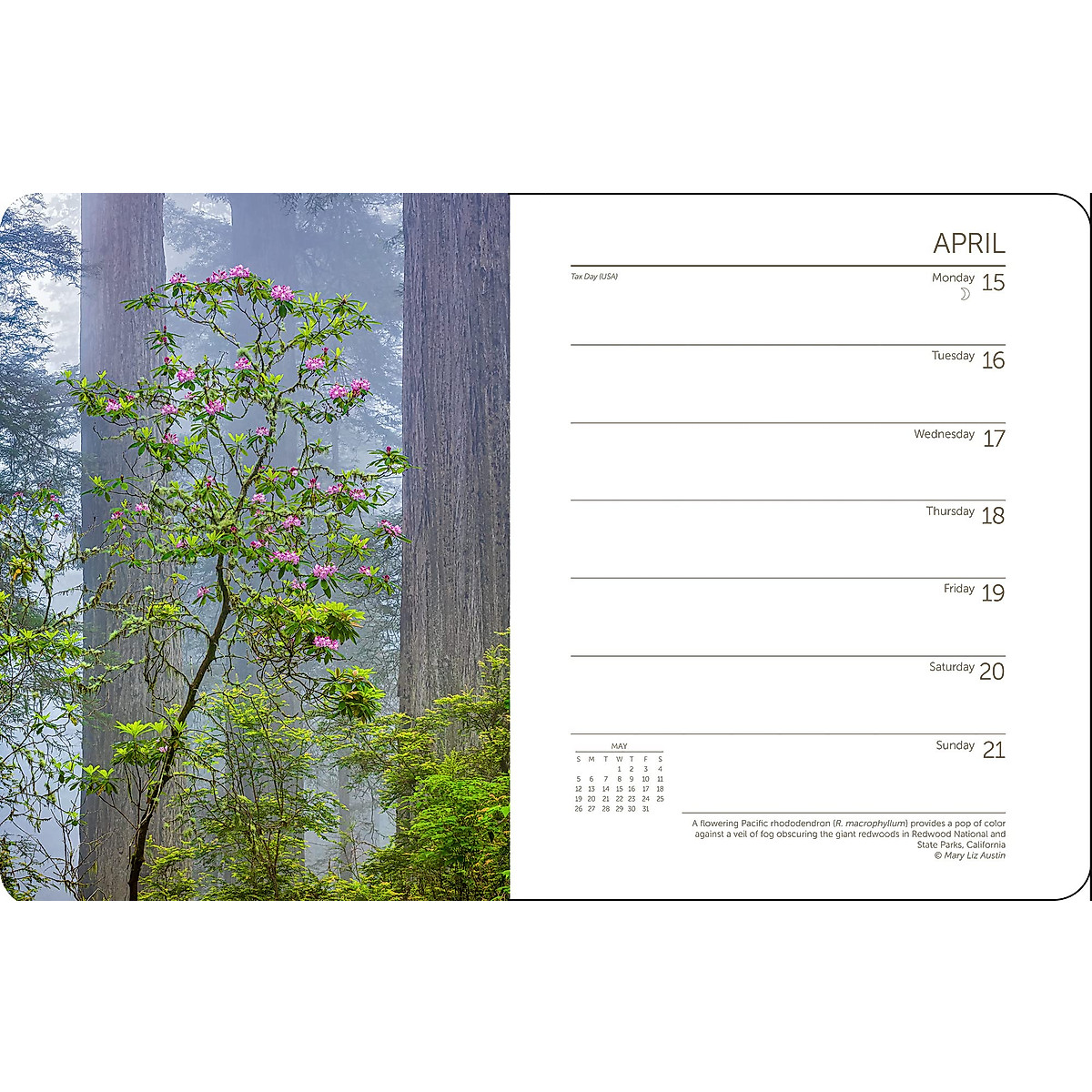 America's National Parks Weekly Engagement Calendar 2024, Planner 6.5" x 8.5" Spiral Bound