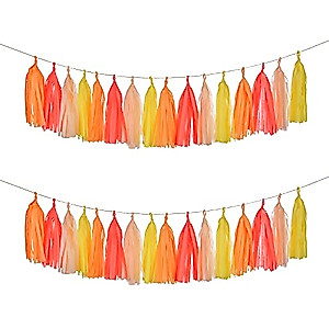 Mefuny 20PCS Tissue Paper Tassel Garland, DIY Paper Tassels Banner, Party Decorations for Baby Shower Wedding Birthday Party Thanksgiving Day