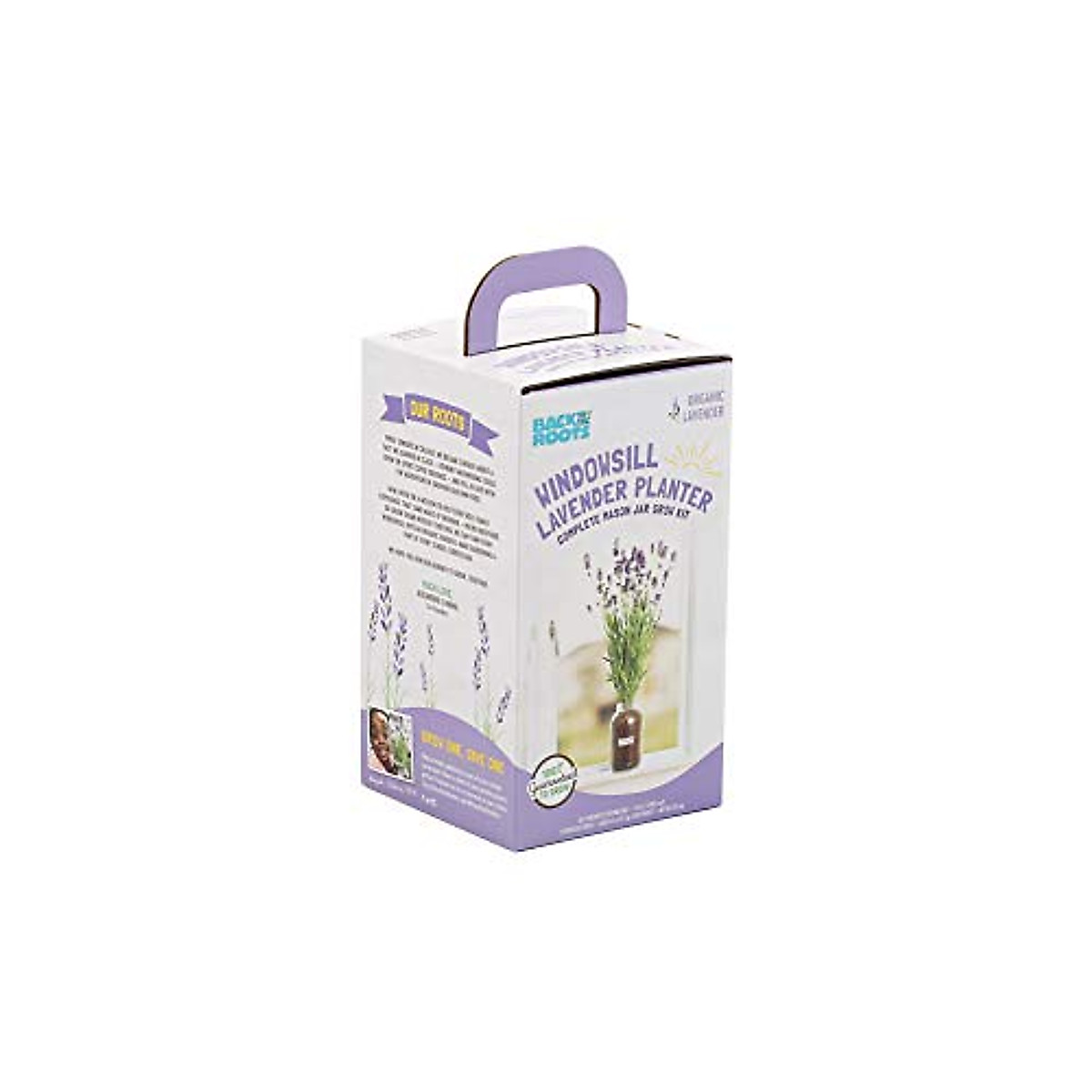 Back to the Roots Lavender Organic Windowsill Planter Kit - Grows Year Round, Includes Everything Needed for Planting