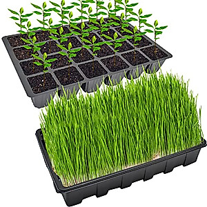 Halatool 10 Pack Seed Starter Tray Black Seedling Starter Trays with Humidity Dome Reusable Seed Starting Trays 240 Cells Seed Starter Kit with 2 Garden Tools & 200 Plant Labels for Seeds Starting