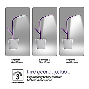 iEGrow Kids Desk Lamp for Rooms, Cute Desk Lamp USB Charging Desk Lamp with Pen Holder for Home Study ( Purple )