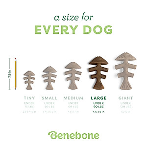 Benebone Fishbone Durable Dog Chew Toy for Aggressive Chewers, Real Fish, Made in USA, Large