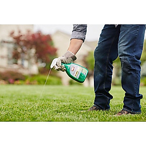 Roundup Scotts Ortho 9994318 Nutsedge Killer, Ready-to-Use, 24-oz. - Quantity 6