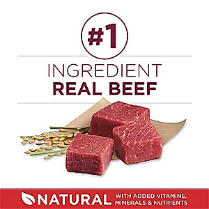 Purina ONE Small Bites Beef and Rice Formula Small High Protein Dry Dog Food Natural with Added Vitamins, Minerals and Nutrients - 31.1 lb. Bag