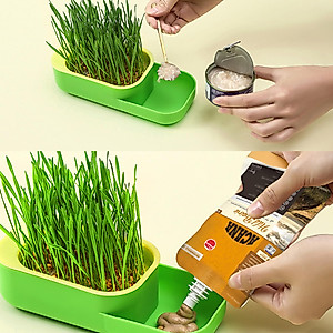 Sozize 2Pcs Hydroponic Cat Grass Planter Wheat Cat Grass Kit Soil Free Seed Sprouting Tray for Cat Grass Indoor Cats (no Seeds Included)