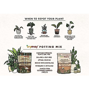 IvyMay Redwoods Potting Soil ― Organic Potting Mix for Indoor House Plants & Aroids, Ready to Use Potting Soil Indoor Plants with Perlite, Earthworm Castings, Essential Oils ― 4 qt