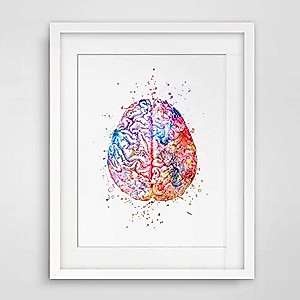 Watercolor Anatomy Brain Wall Art Decor Anatomical Brain Vintage Graphics Art Print Wall Hanging Original Design Brain Printed Artwork 8x10 inch No Frame