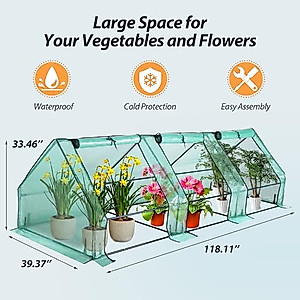 Funny Sunny Portable Mini Greenhouse, Outdoor Garden Greenhouse with Roll Up Door & Double Zipper, Waterproof & UV Protected Plastic Greenhouse for Indoor Outdoor, Patio Backyard Nursery Vegetable