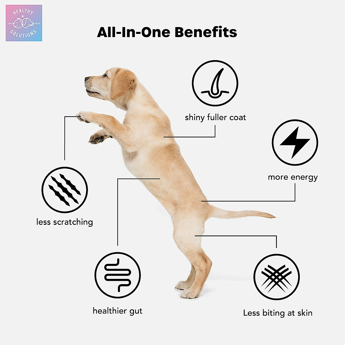 All-in-One Dog Vitamins & Supplements - Dog Multivitamin Supplement for Joint Support, Digestion, Skin, & Coat - Plus Omega-3, 6, 9 - Ultimate Daily Vitamin for Dogs - Made in USA, 60 Soft Chews