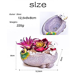 Novelty and Cute White Rabbit and Snail Flowerpot with Drainer Garden Flowerpot Resin Succulent Potted Bonsai Plant Stand Home Desk Mini Ornaments Without Plants