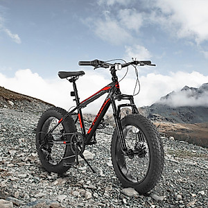 Elecony Ecarpat 20/24/26 Inch Fat Tire Mountain Bikes 7-Speed with Mechanical Disc Brakes Front Suspension, Mens Womens All Terrain Mountain Winter Snow Beach Bicycles