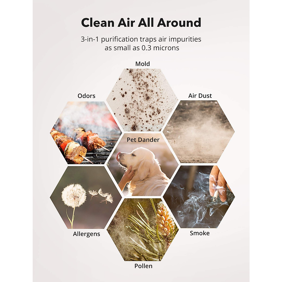 Air Purifier for Home Bedroom, True HEPA Air Purifiers for Small Room, Air Cleaners for Smoke Pollen Pet Hair Dander Dust Odor with 4 Fan Speeds, Sleep Mode, Night Light, Black