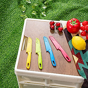 CHUYIREN Paring Knife, 4 Pcs Paring Knife with Sheath, 4" Vegetable and Fruit Knife, Stainless Steel Small Kitchen Knife for Cooking, Peeling, Slicing, Picnics,&Travel, Pink/Green/Yellow/Blue