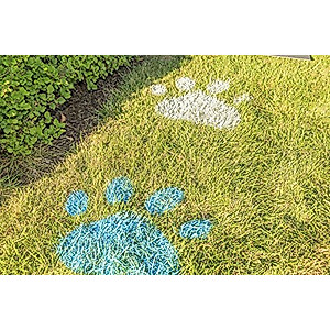 Testors Spray Chalk, White, 6 Ounce (Pack of 1), 307587