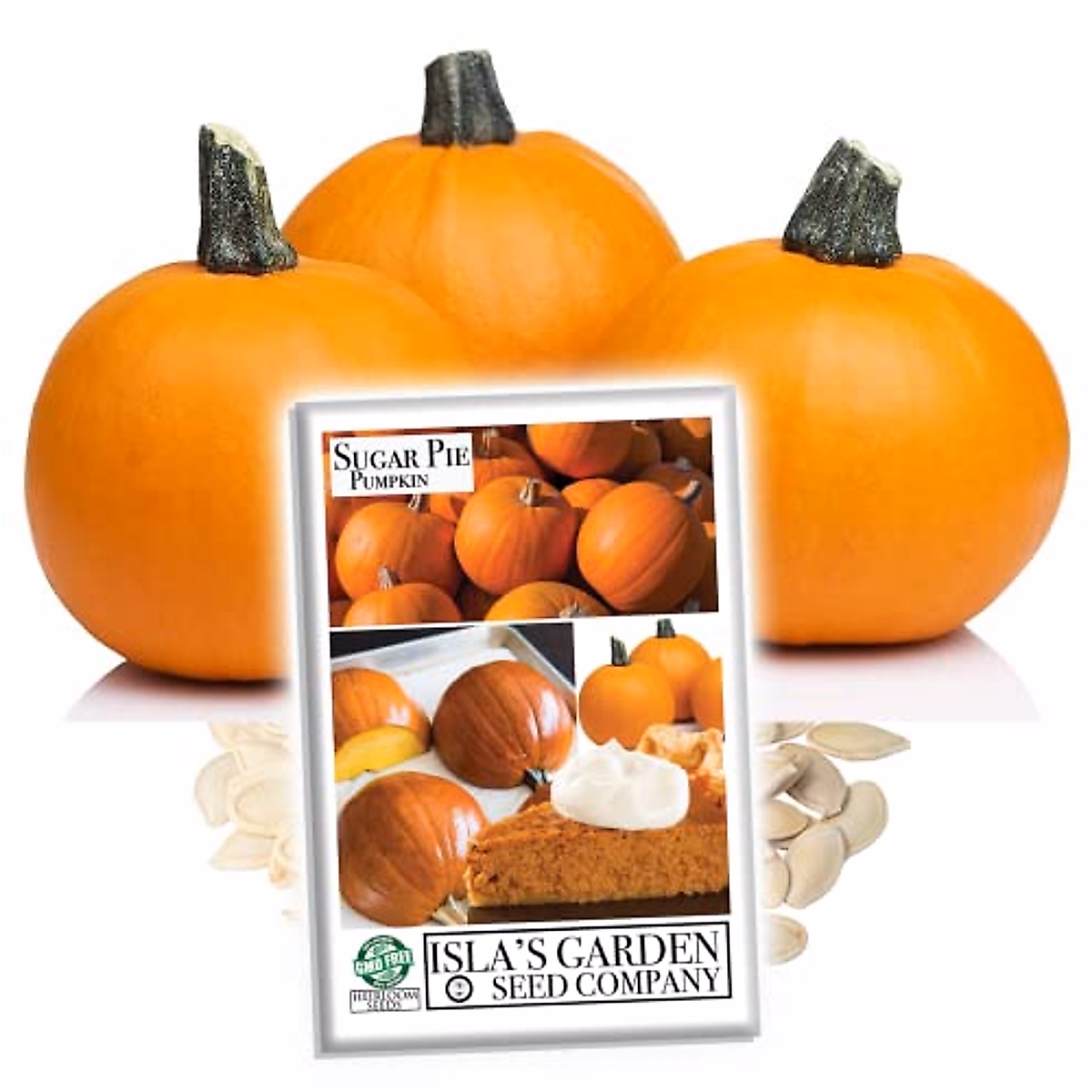 "Sugar Pie" Pumpkin Seeds for Planting, 20+ Heirloom Seeds Per Packet, (Isla's Garden Seeds), Non GMO Seeds, Non GMO Seeds, Botanical Name: Cucurbita Pepo, This Variety is for Making Pumpkin Pie!