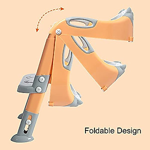 Fedicelly Potty Training Toilet Seat Boys Girls,Toddlers,Kids Potty Chair with Step Stool Ladder（Gray/Orange）