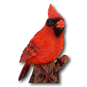 Ebros Gift Realistic Hand Painted Red Cardinal Bird Perching On Tree Stump Guest Greeter with Built in Motion Activated Sensor Chirping Sound Statue 6.5" Tall Taxidermy Home and Garden Sculpture