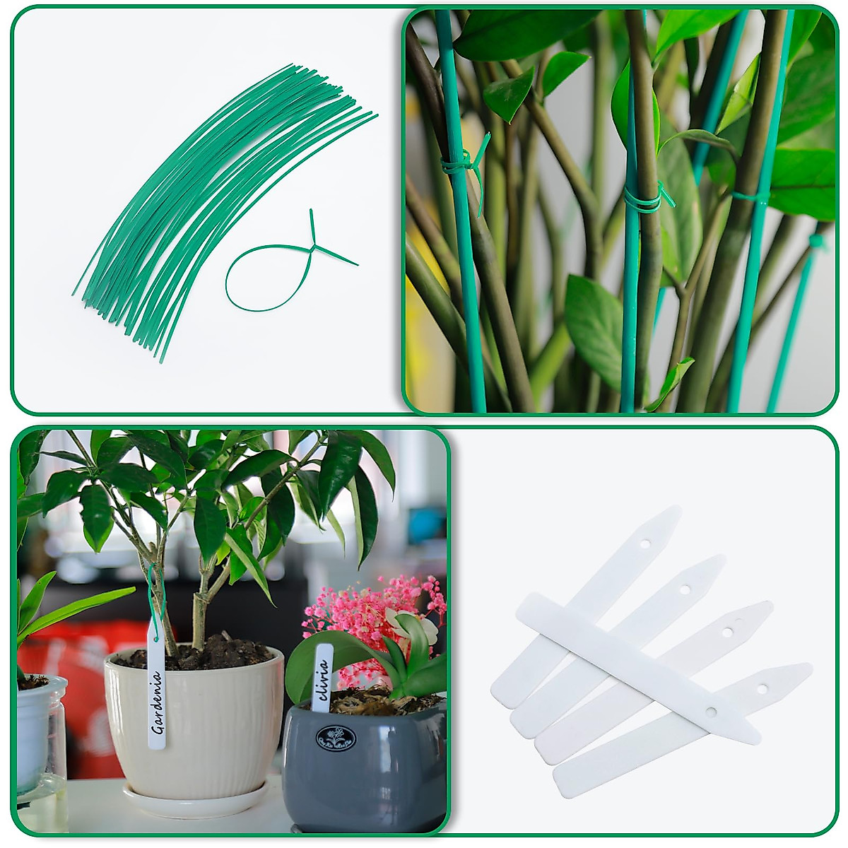 PERSZEN Plant Stakes 50 PCS Garden Green Bamboo Sticks Plant Support Stakes for Indoor and Outdoor Plants, Wooden Sign Posting Flower Pot Garden Stakes(15" 25pcs+17" 25pcs)