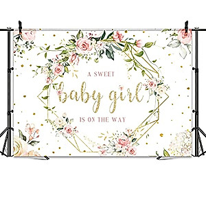 Omifly Baby Girl Backdrop for Baby Shower Floral Sweet 7x5ft Photography Wall Pink Rose Flower Green Eucalyptus Leaves Gold Dot Background Newborn Pregnancy Party Decorations Photo Booth Studio Props