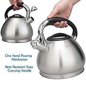 Easyworkz Whistling Stovetop Tea Kettle Food Grade Stainless Steel Hot Water Tea Pot With Loud Whistle,3.1 Quart(3.0l)