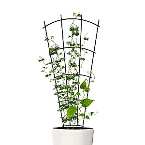 Thealyn 4 Pack 23'' Indoor Plant Trellis for Potted Plants Climbing, Outdoor Metal Garden Trellis Houseplants Flowers Vine Ivy,Fan Shape, Black