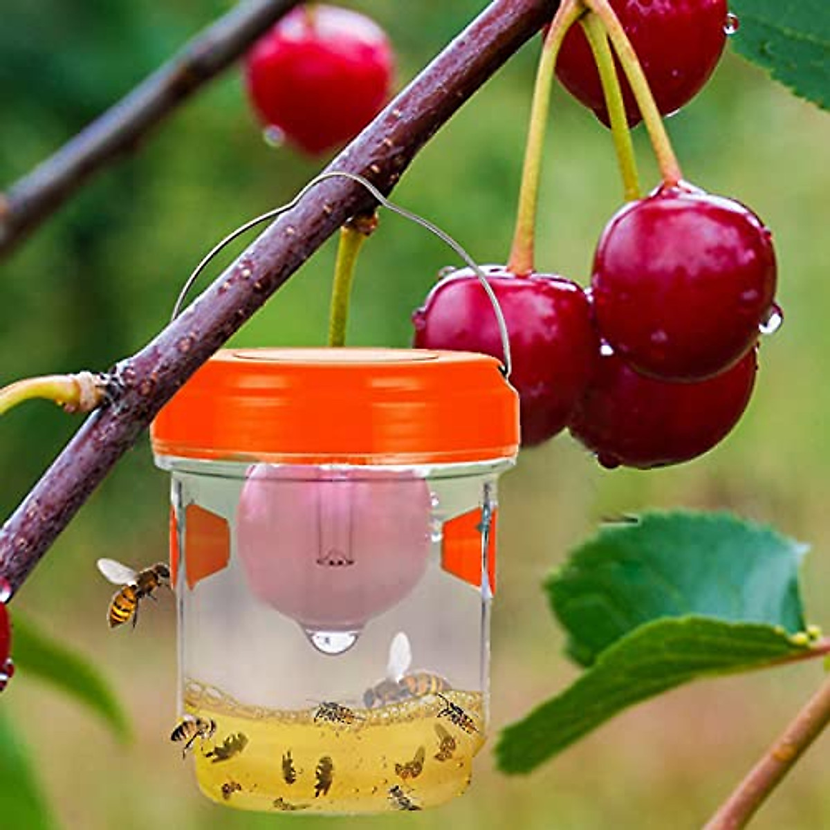 Wasp Traps Outdoor Hanging 2 Pack Fly Traps Bee Traps for Outside Light Attract Carpenter Bees Yellow Jackets Fruit Flies Mosquito Hornet Wood Bee Trap Solar Power Reusable Outdoor Indoor Waterproof