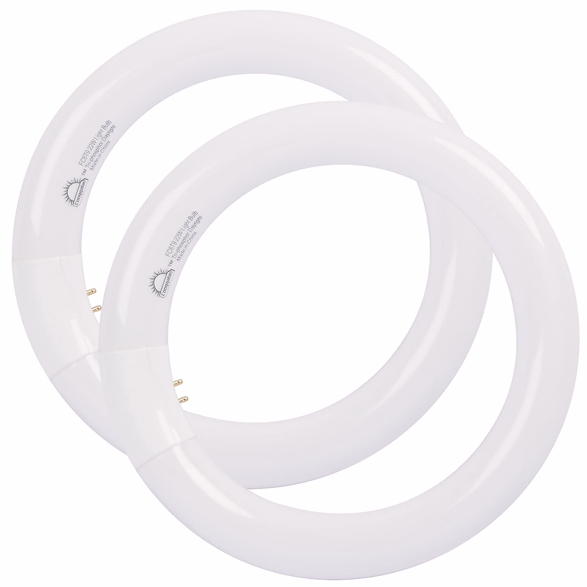 COOGGALAN 8 inch T9 22 Watts Round Light Bulbs FC8T9/DX Circular Fluorescent Light Bulb, FC8T9/DL 22W Circline Bulb, Daylight 6400K, G10q 4 Pin Prong Base, 2 Pack
