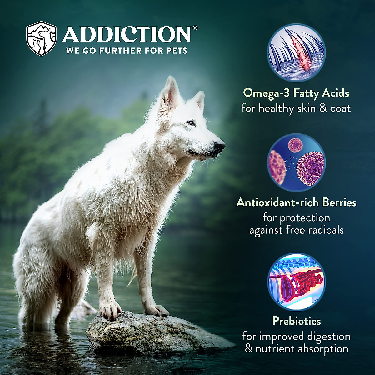 Addiction Herbed Lamb & Potatoes Raw Alternative Dog Food - Gently Air-Dried Complete Meal or Dog Food Topper for Digestive and Skin and Coat Health, 2 lb