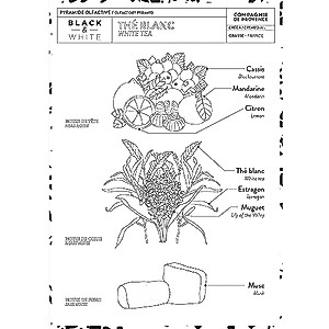 Compagnie de Provence Luxury Hand Cream - White Tea - 10 Fl Oz Glass Pump Bottle