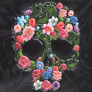 Coolrunner 3D Skull Series zipper coin purse small wallets mini change purse (Purse)