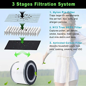 Flintar Vista 200 True HEPA Replacement Filters, Compatible with Vista 200 Air Purifier Only, 3-in-1 H13 Grade True HEPA Filter Replacement, Vista 200-RF, 2-Pack