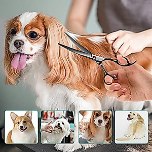 Intini 7.5" Curved Dog Grooming Scissors,Professional Pet Grooming Shears with Safe Round Tips, Shears for Dogs with Thick Hair,Dematting Tool for Dogs,Light Weight, Right and Left Hands