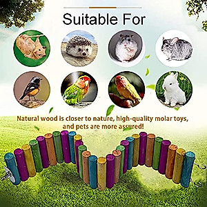 HAMILEDYI Hamster Rainbow Bridge,Flexible Bendy Climbing Ladder Hanging Wooden Chew Toy for Bird Parrot Guinea Pig Chinchilla Chipmunk Sugar Glider Gerbil Mice Squirrel Small Animal(Pack of 2)