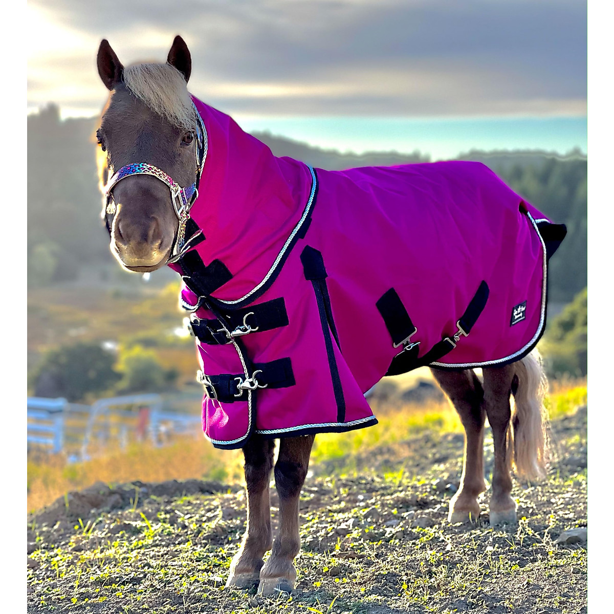 Star Point Horsemanship Mini-Pony Horse Ripstop Waterproof Windproof Blanket Hooded Lightweight Turnout Rain Sheet Breathable Lining 1200 Denier Material 100 Gram Fill (Raspberry, 52-54")