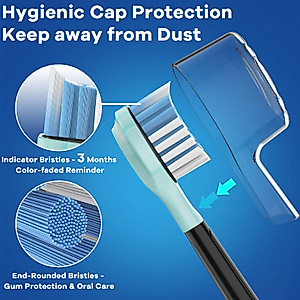 BrightDeal Replacement Heads for Philips Sonicare ProtectiveClean 4100 5100 6100 DiamondClean 9500 ExpertClean 7500 FlexCare HealthyWhite Electric Sonic Toothbrush C3 G3 W3 C2 G2 Brush, Black, 6 Pack