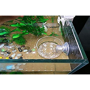 DGZZI Fish Feeder Acrylic Aquarium Fish Tank Adjustable Circle Ring Fish Feeding Floating Food Dish Food Protection Cover Tray Feeder