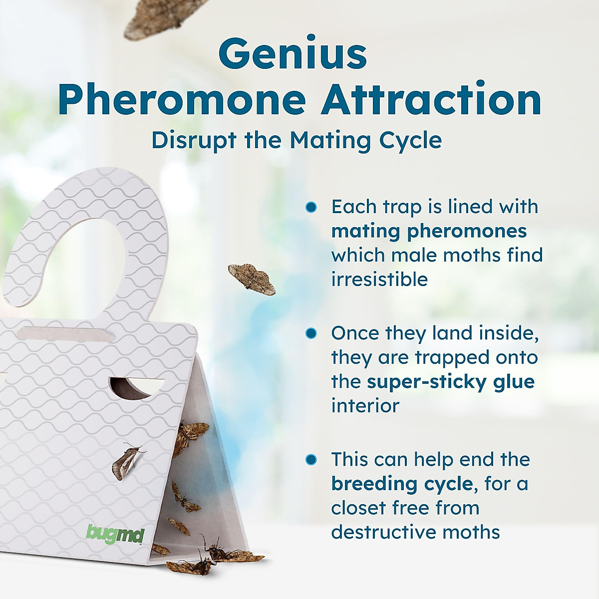 BugMD Clothes Moth Boss Traps - Sticky Glue Bug Repellent Pheromone Attractor for Closets Wardrobes Cabinet Drawers, Moth Balls for Closet, Moth Traps with No Harsh Chemicals, Pantry Moth Trap