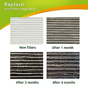 PUREBURG Replacement True HEPA Filter Set Compatible with Winix 115115, Filter A,9800 5300 6300 5300-2 6300-2 P300 C535 5000b 5000 5500 Plasma Wave WAC5300 WAC5500 WAC6300,H13 Activated carbon,2-Pack