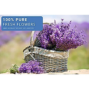 16 Bags Dried Flowers for Soap Making, Dried Flowers for Candle Making, Soap Flowers and Dried Herbs for Candle Oil, Bath Bombs. Essential Fragrant – The Best Variety of Grade A Flowers